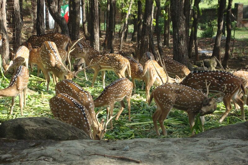 Top 10 Best Places to visit in Dehradun with Family - Jaypee Hotels